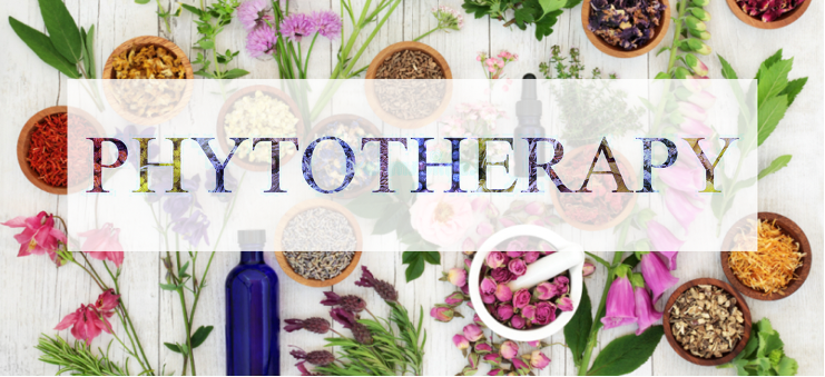 What is phytotherapy? What does it do? - Swissisimi